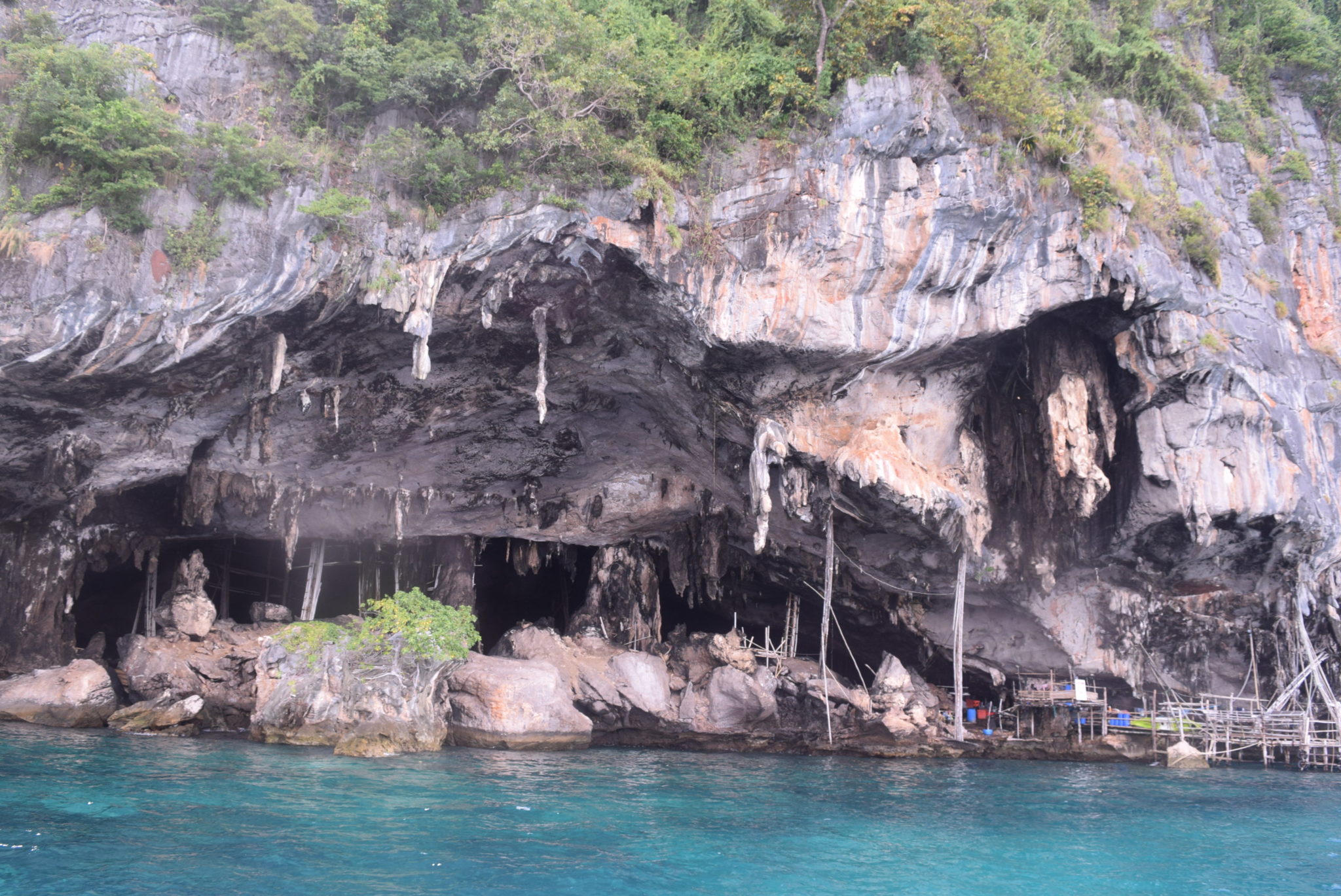Exploring Phi Phi Island by Speedboat - Planes, Trains and Champagne